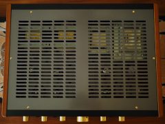 Today's Fresh Catch: The New Leben HiFi Stereo Company CS600X ...