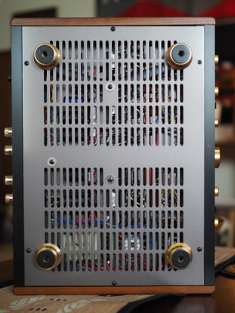Today's Fresh Catch: The New Leben HiFi Stereo Company CS600X ...