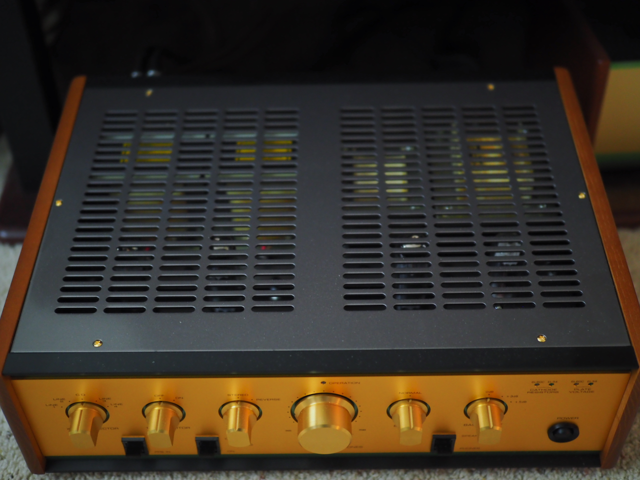 A look inside the new Leben CS600X integrated amplifier! - Jeff's Place